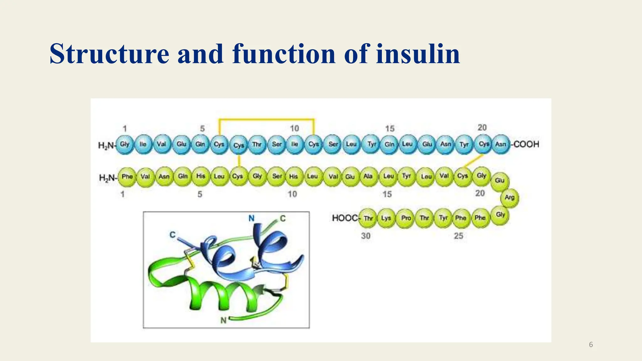 Microbial Insulin Production powerpoint presentation | PPTX