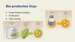 Microbial Insulin Production powerpoint presentation | PPTX