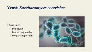 Microbial Insulin Production powerpoint presentation | PPTX
