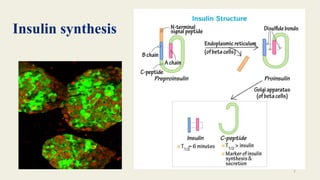 Microbial Insulin Production powerpoint presentation | PPTX