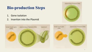 Microbial Insulin Production powerpoint presentation | PPTX