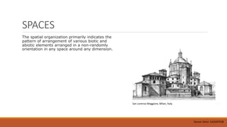 spatial_arrangement_in_architecture.pdf
