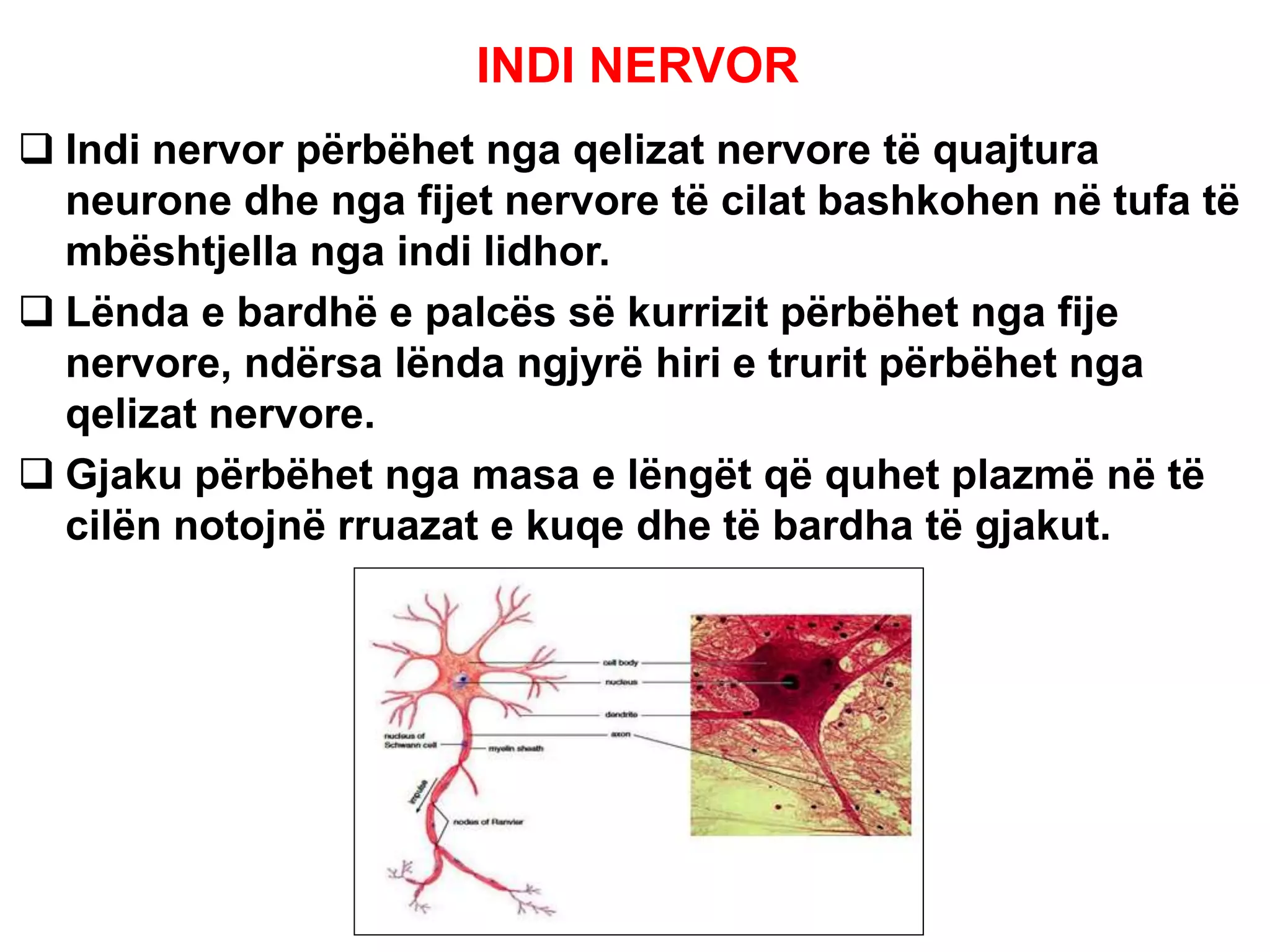 Perberja e-mishit --shpresa_devaja_ | PPT