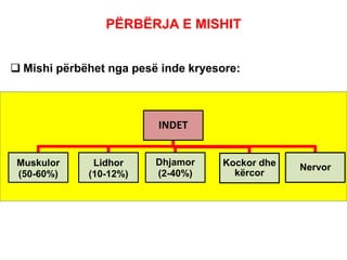 Perberja e-mishit --shpresa_devaja_ | PPT