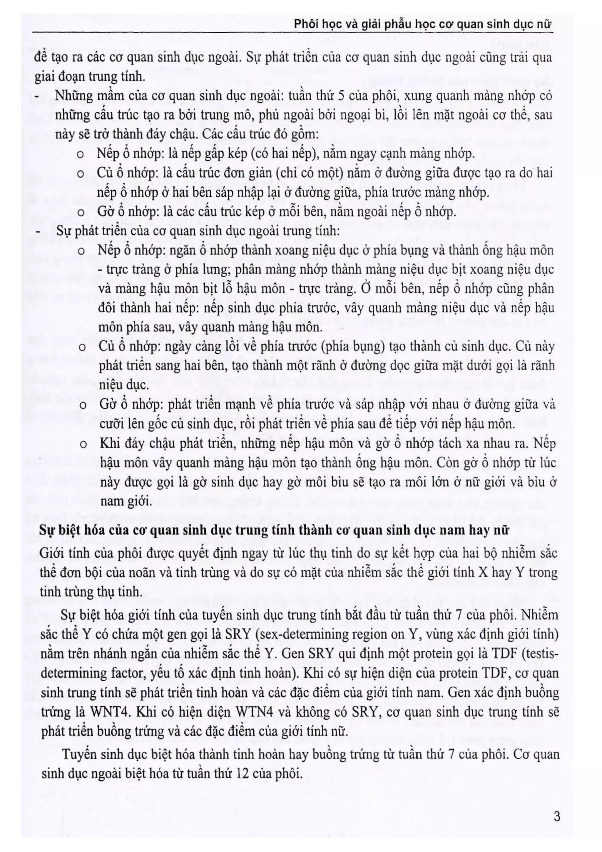 PHÔI HỌC VÀ GIẢI PHẪU HỌC CƠ QUAN SINH DỤC NỮ | PDF