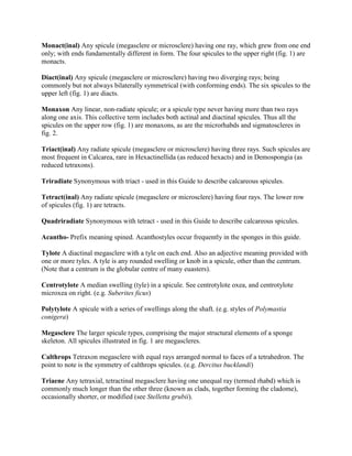 Glosario de porifera y guia de espiculas | PDF