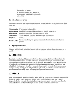 Glosario de porifera y guia de espiculas | PDF