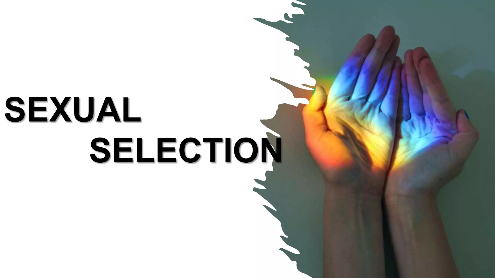 Sexual selection (mating behavior) | PPTX