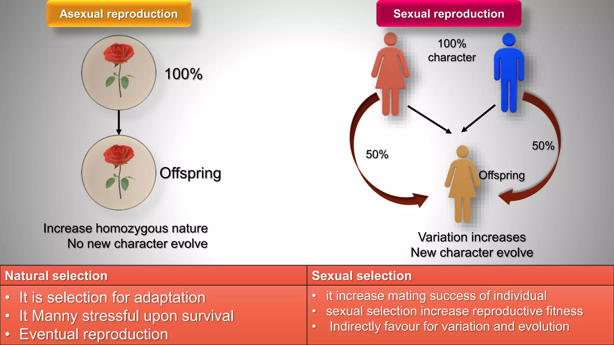 Sexual selection (mating behavior) | PPTX