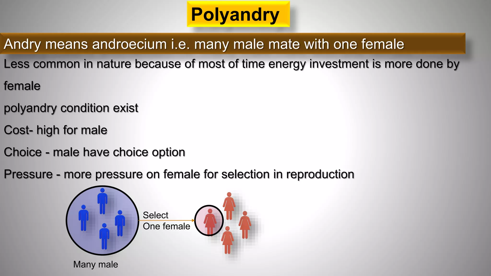 Sexual Selection Mating Behavior Pptx