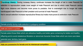Sexual selection (mating behavior) | PPTX