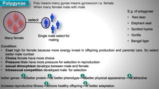 Sexual selection (mating behavior) | PPTX
