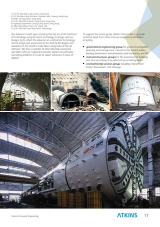 Atkins In Asia Pacific | PDF