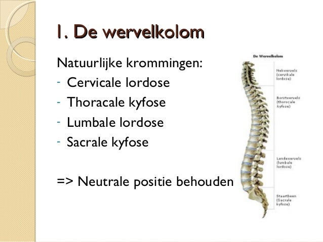 Presentatie Core-stability