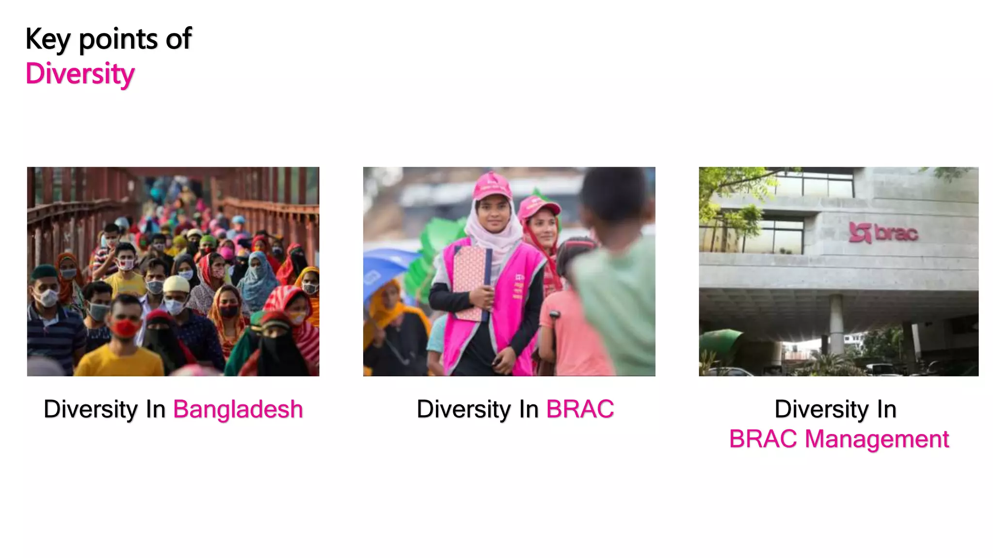 Diversity of BRAC | PPTX