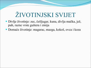 Brac Prezentacija | PPT