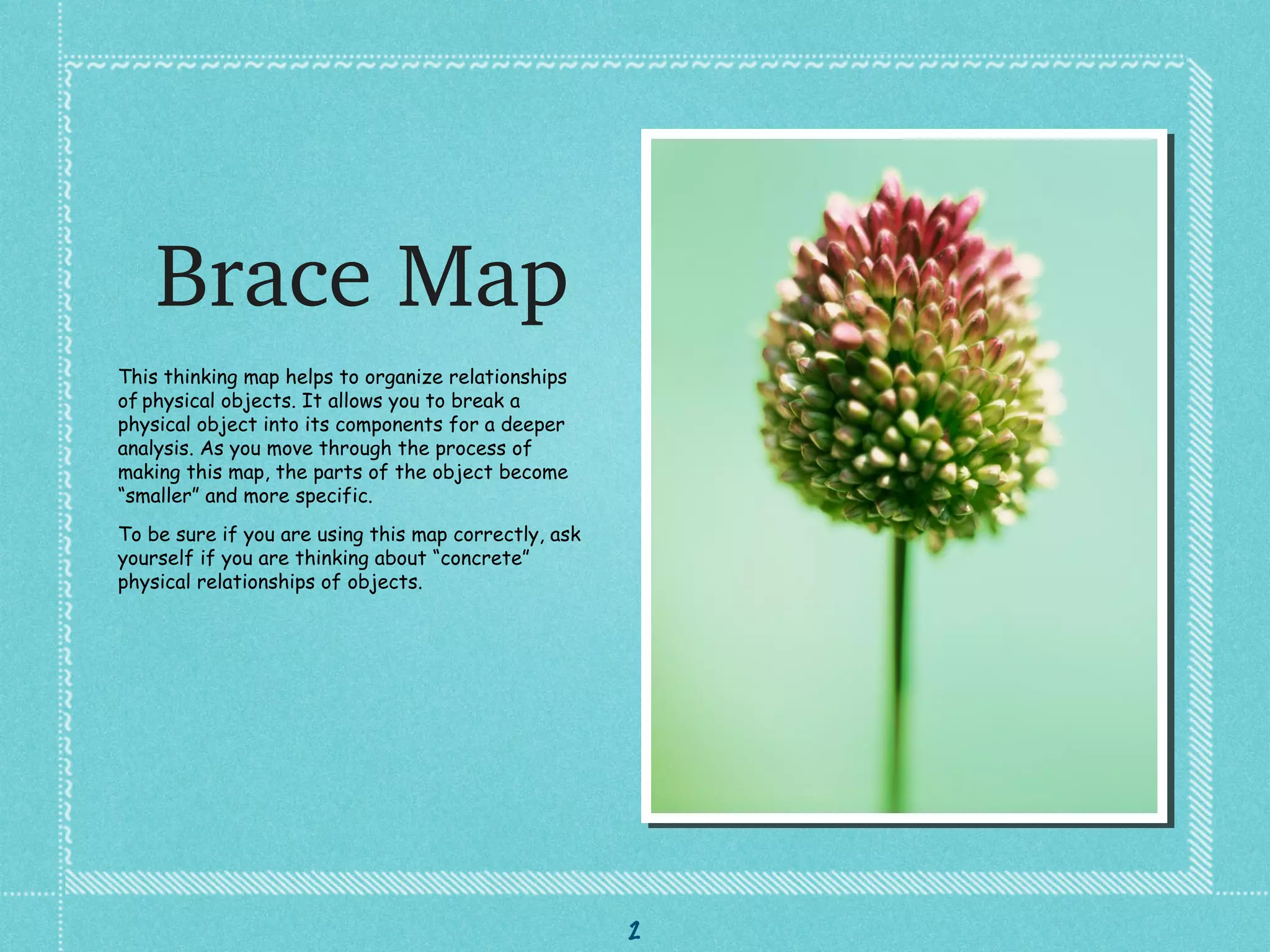 Brace map | PPT