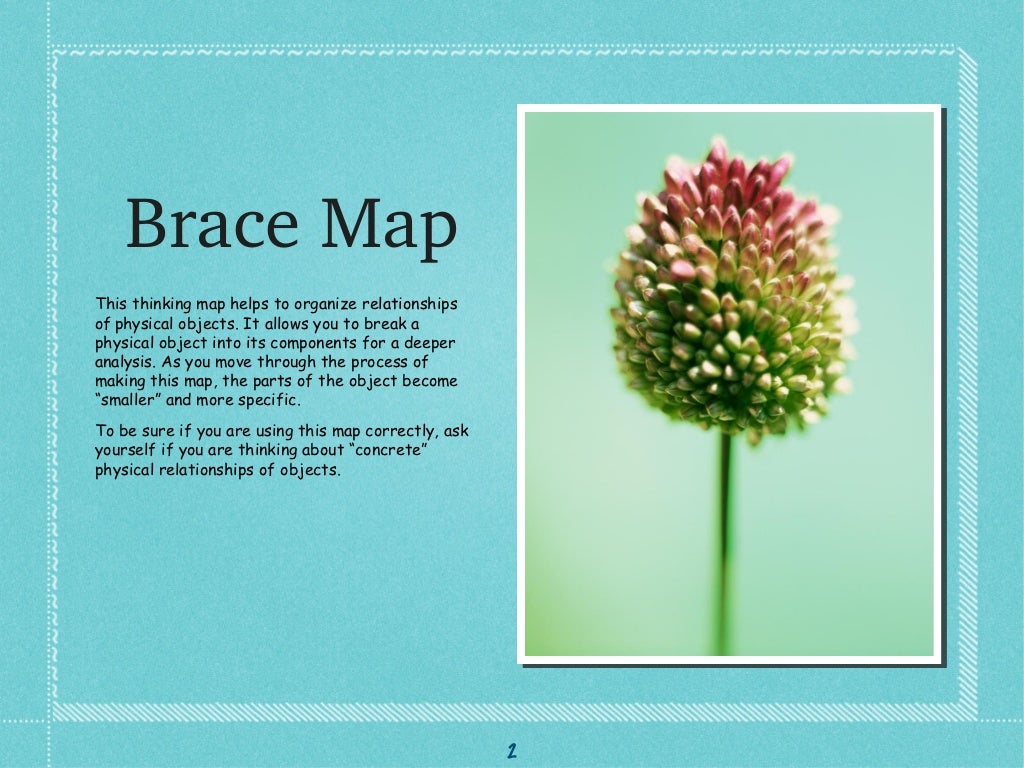 Brace Map Brace Map
