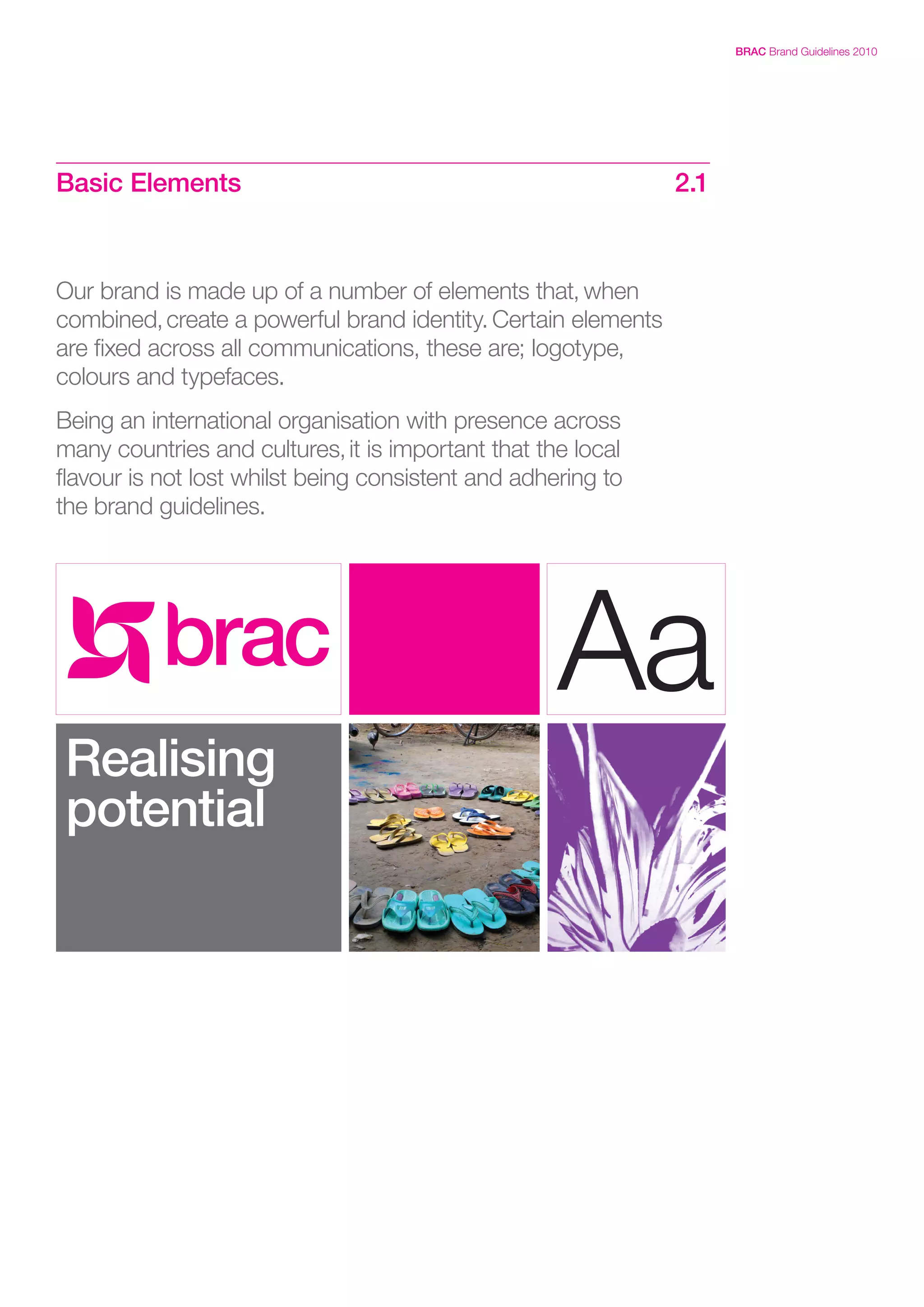 BRAC Brand Guidelines | PDF