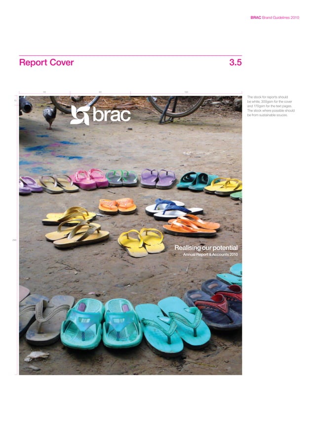 BRAC Brand Guidelines | PDF | Business | Business and Finance