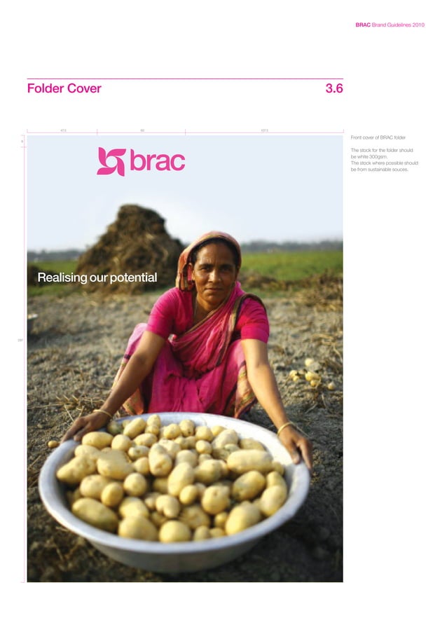 BRAC Brand Guidelines | PDF | Business | Business and Finance