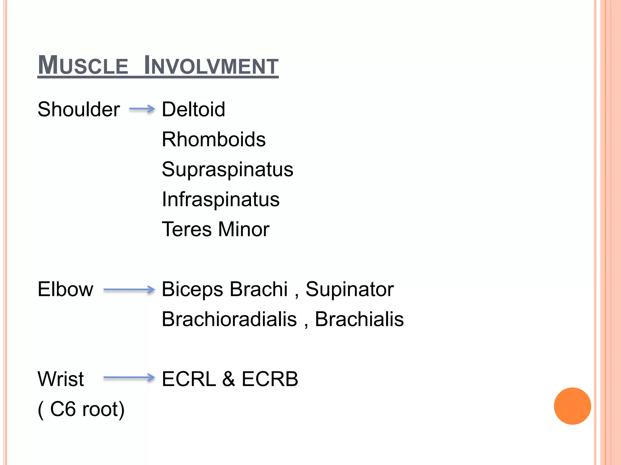 Brachaial Plexus Injury | PPTX
