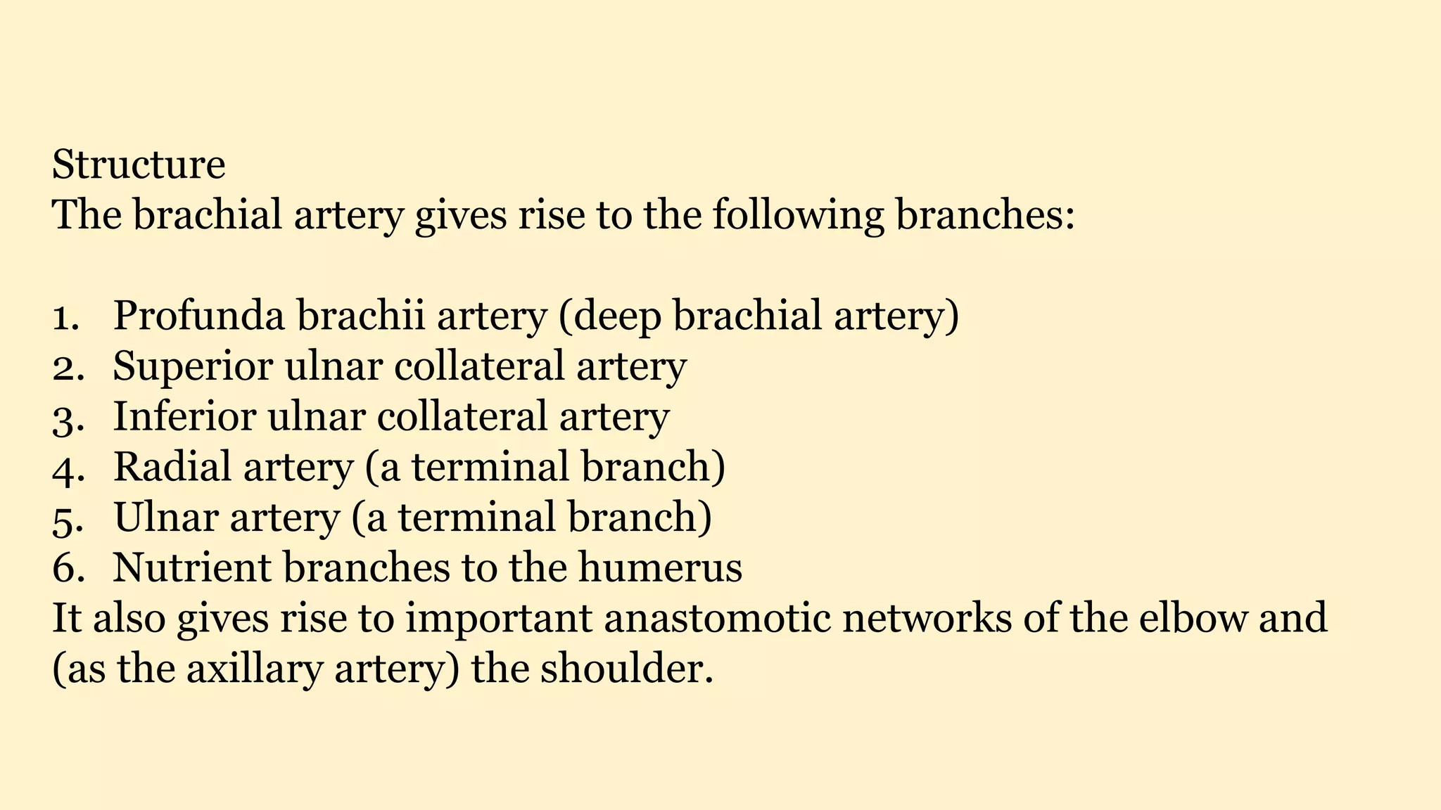 Brachial artery,radial & ulnar artery,plamar arches | PPTX