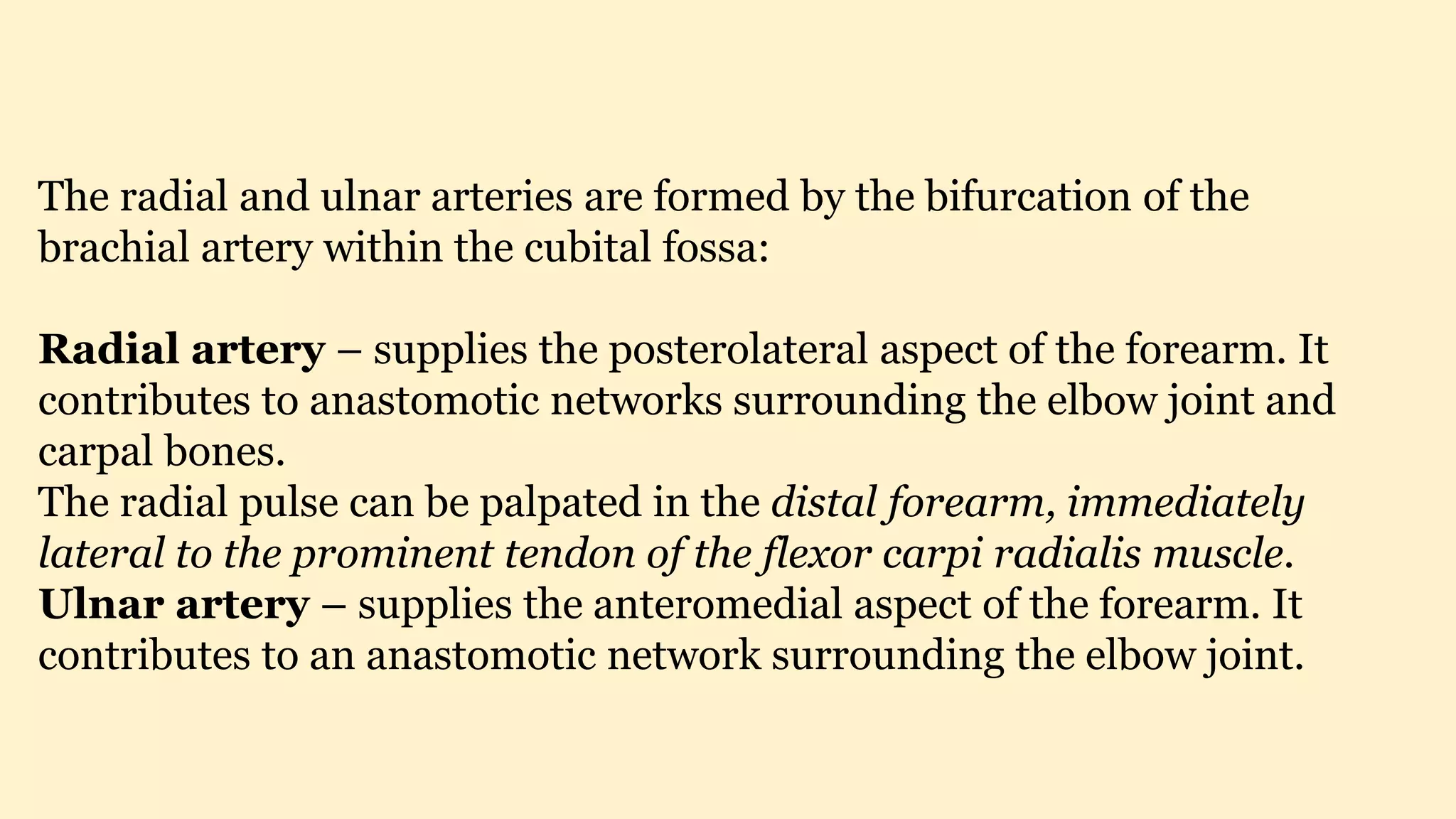 Brachial artery,radial & ulnar artery,plamar arches | PPTX