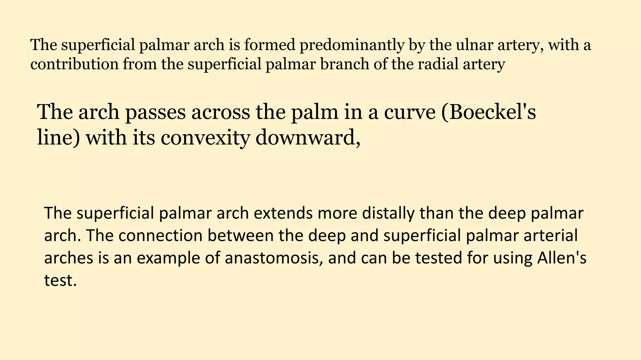 Brachial artery,radial & ulnar artery,plamar arches | PPTX