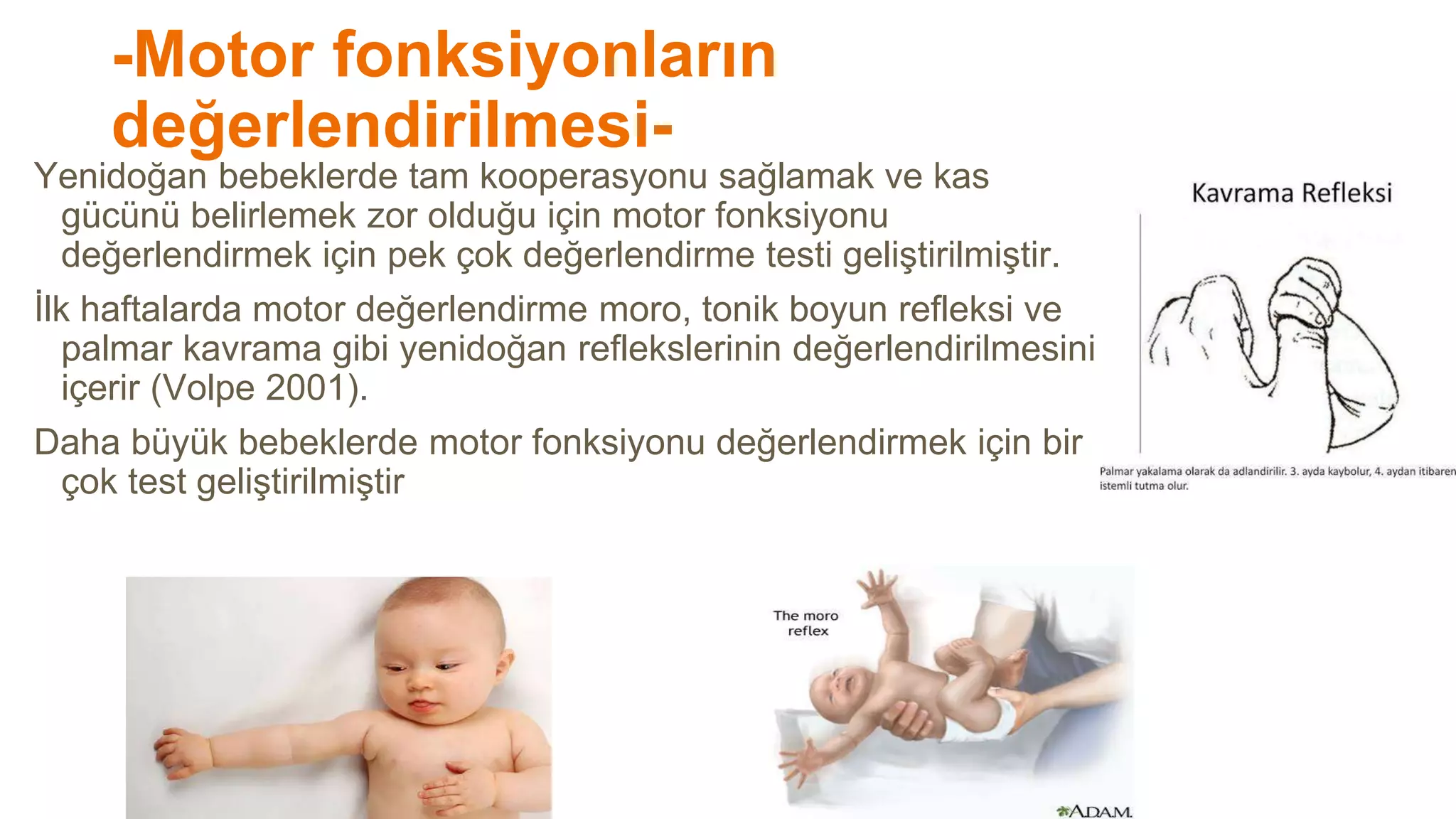 Brachial pleksus | PPTX