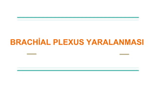 Brachial pleksus | PPTX