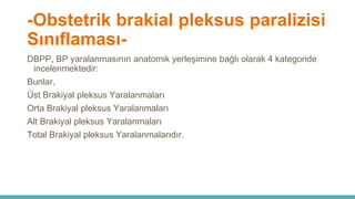 Brachial pleksus | PPTX