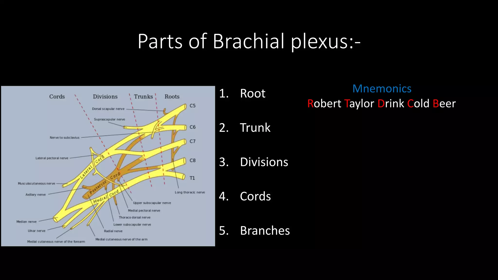 Brachial plexes made easy .pptx