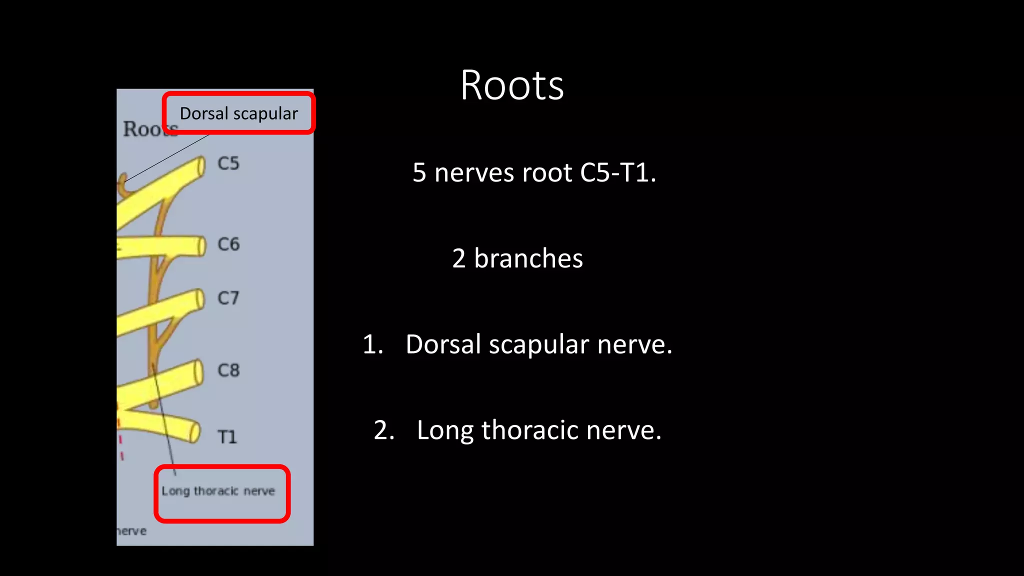 Brachial plexes made easy .pptx