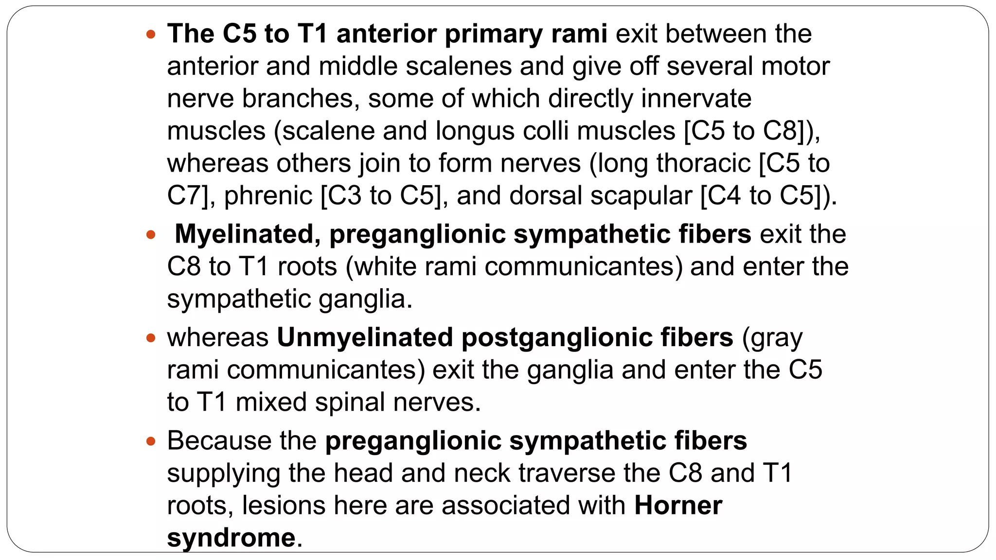 Brachial plexopathies | PPTX