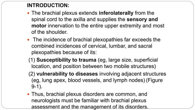 Brachial plexopathies | PPTX