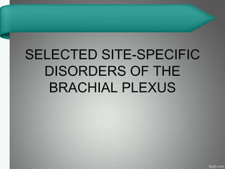 Brachial plexopathies | PPTX