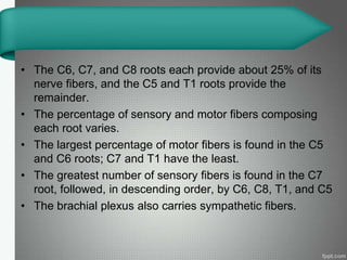 Brachial Plexus Origin Strike