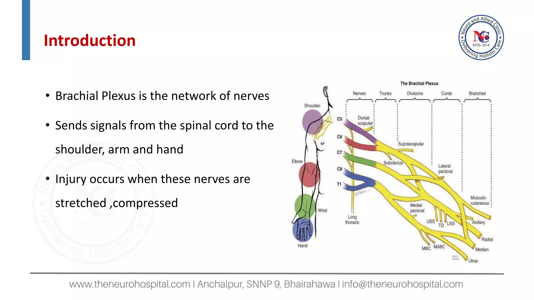 Brachial Plexopathy@Roshan.pptx
