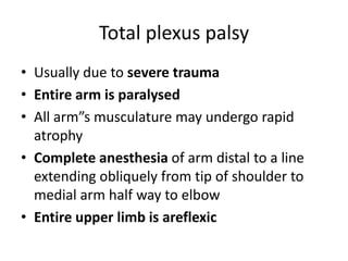Brachial Plexus | PPTX