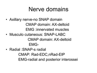 Brachial plexus | PPT