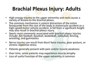 Brachial plexus | PPT