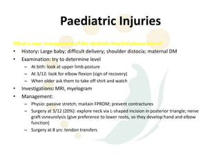 Brachial plexus | PPT