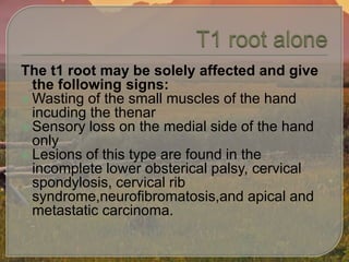 Brachial plexus lesions | PPTX | Death, Injury, or Military Conflict ...
