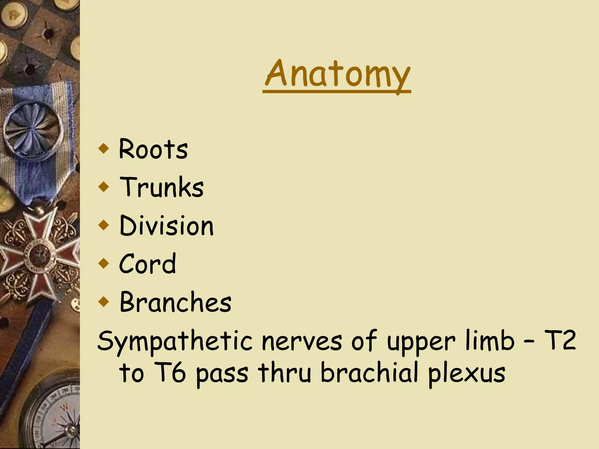 Brachial plexus | PPT