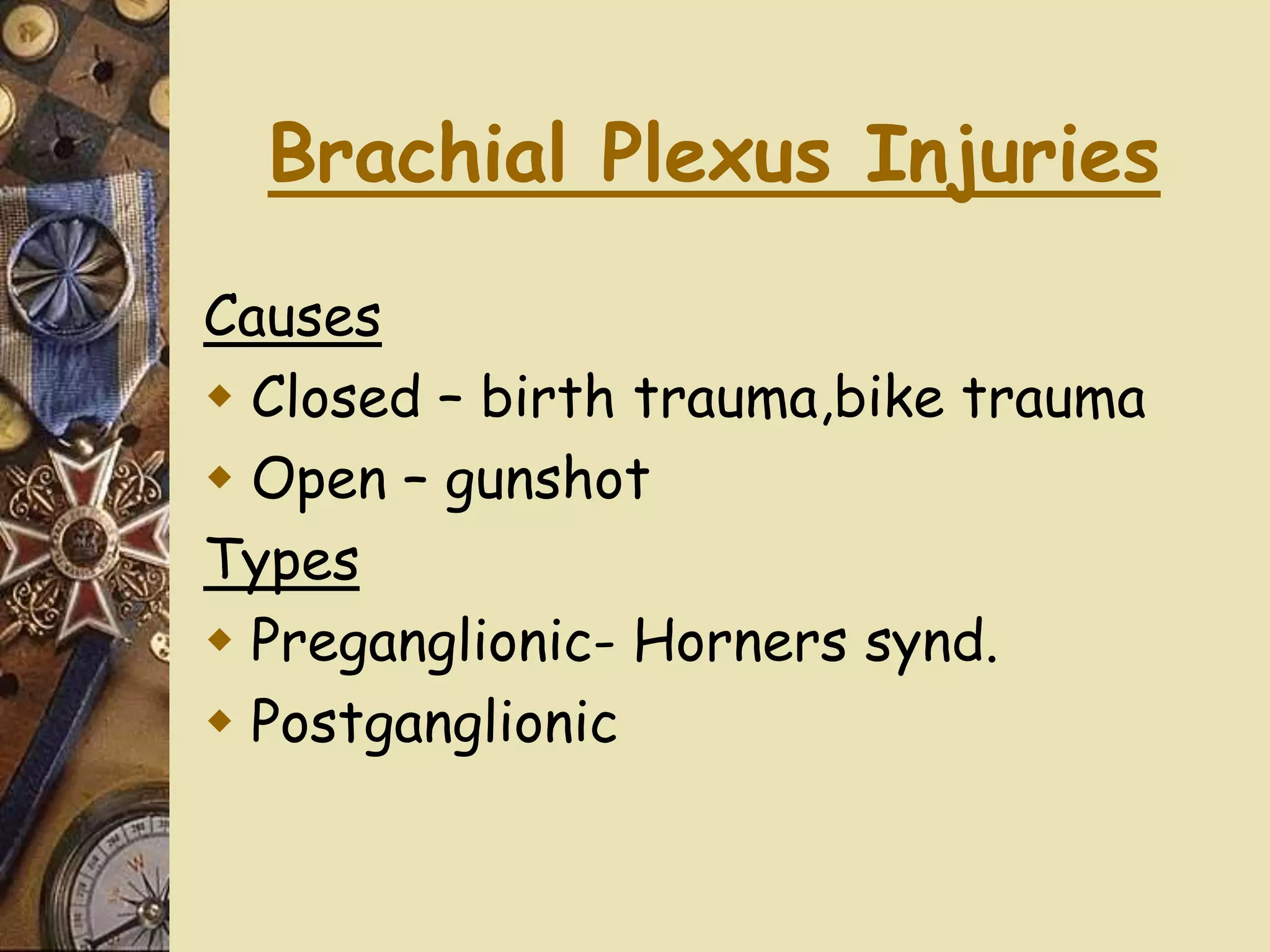 Brachial plexus | PPT