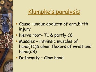 Brachial plexus | PPT