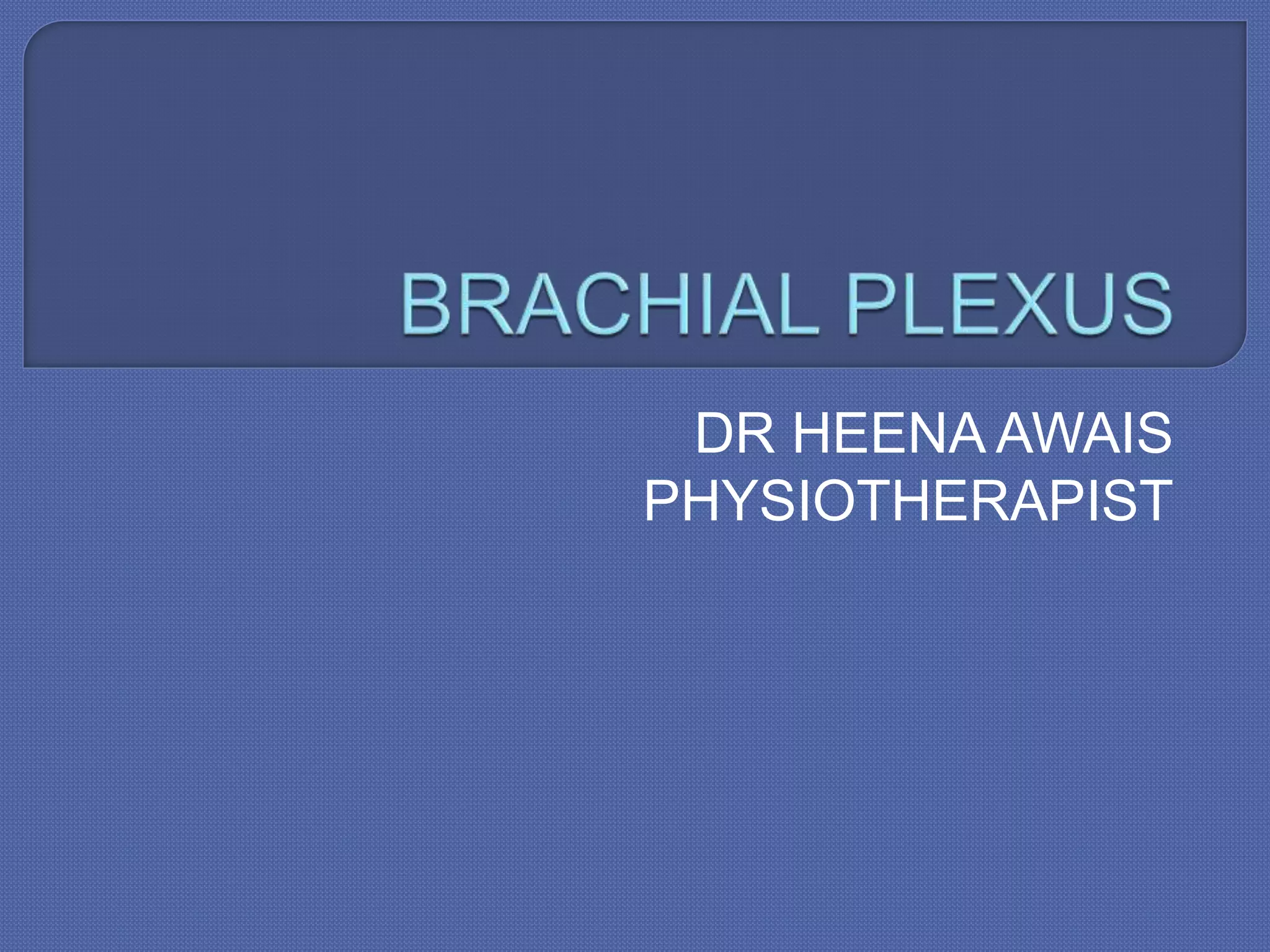 anatomy of Brachial plexus | PPTX