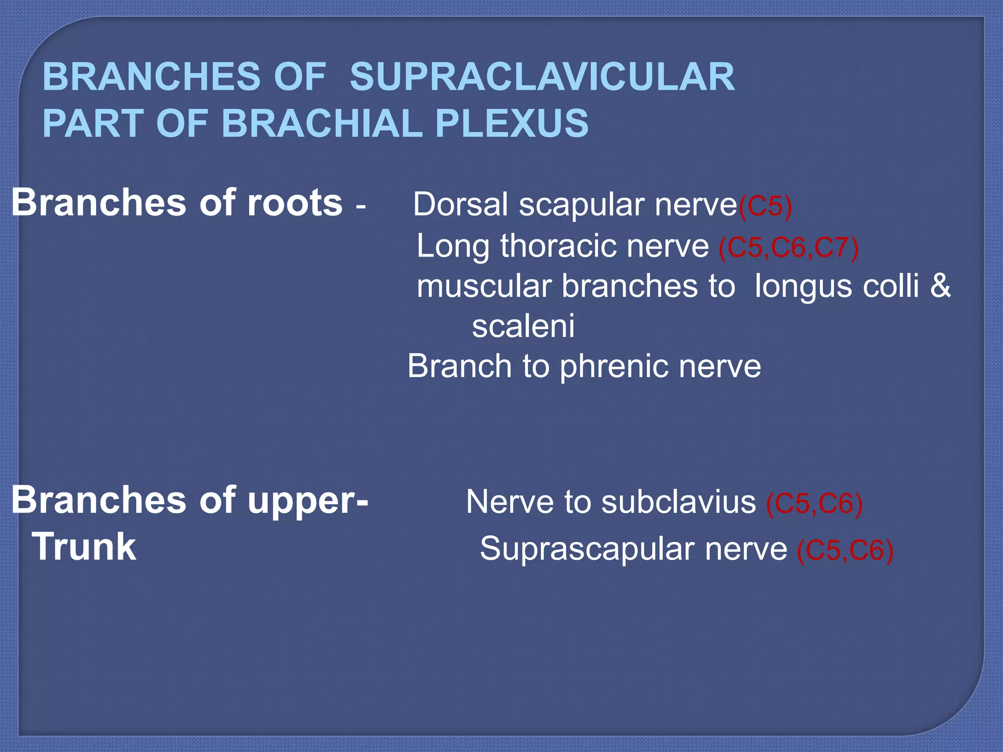 anatomy of Brachial plexus | PPTX