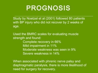 Brachial plexus | PPT
